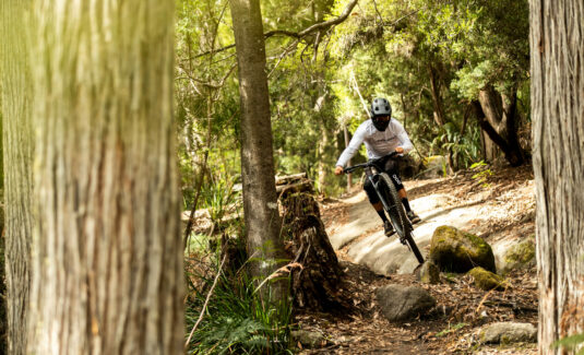 Polygon Collosus N8e - Bikeera